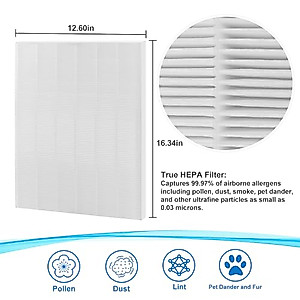 116130 Replacement Filter H for Winix 5500-2 Air Purifier and AM80 Models, Ture HEPA Filter and Activated Carbon Pre-Filters Combo Pack, Part No. 116130 replacement filter (Winix 5500-2- 1 Sets)