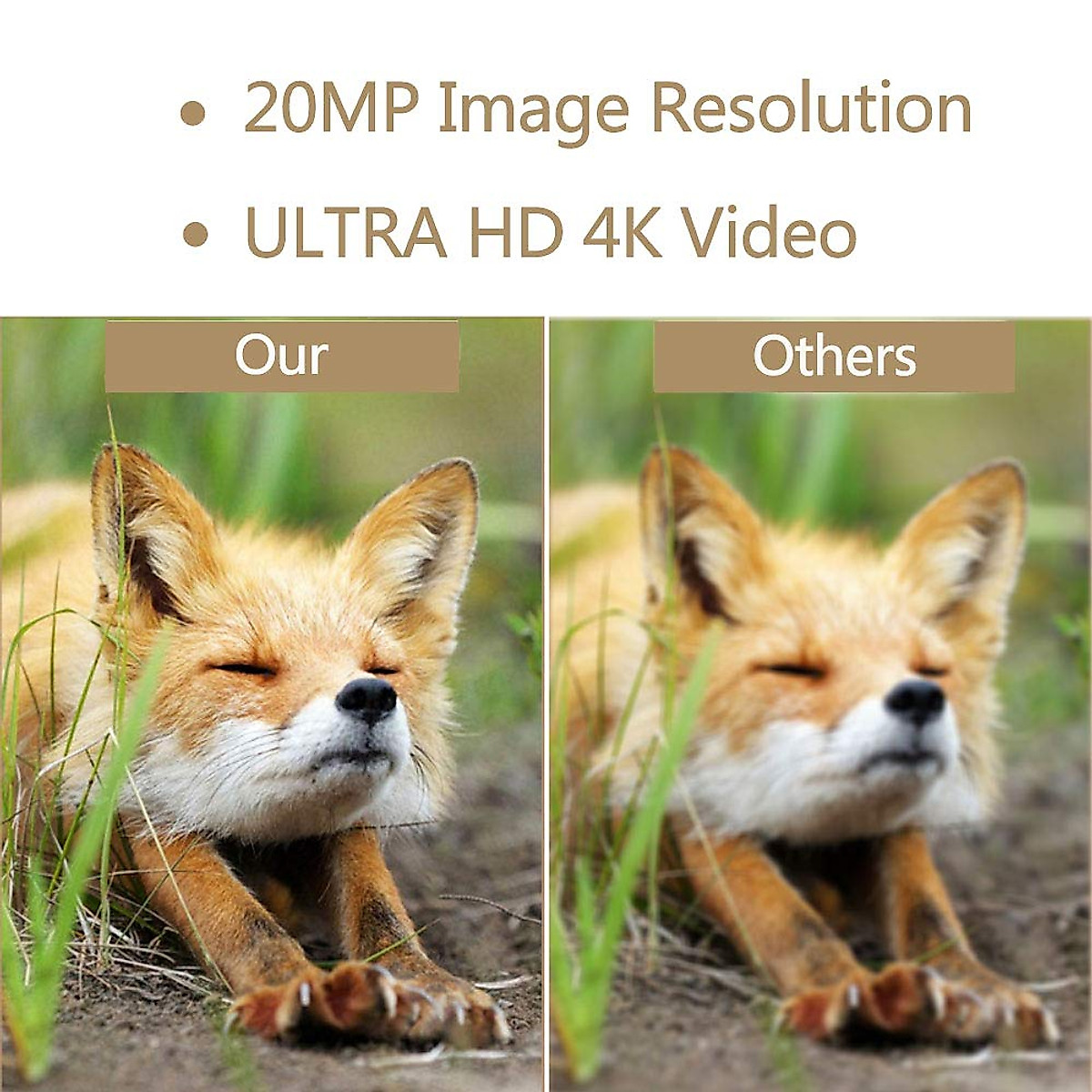 GoldPaddy Trail Game Camera 4K 20MP, Hunting Camera with Night Vision Motion Activated Waterproof Camera 0.2s Trigger Time Scouting Cam 2.4” LCD IR LEDs 120° Wide Angle for Wildlife Home Monitoring