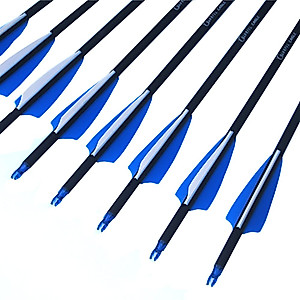 COLORFUL EAGLE Archery Carbon Arrow Hunting Target Practice Arrows 28 30 31 Inch with Removable Tips for Compound & Recurve Bow Spine 500 (6/12PCS) (6 pcs 28 inch)