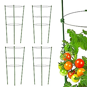 Tomato Cage Plant Support Cage for Garden 8 Pack, 18 Inch Tomato Trellis Garden Cages with 3 Adjustable Rings, Tomato Plant Stakes for Climbing Plants, Flowers, Fruit, Vegetables