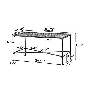 Christopher Knight Home Petra Iron Coffee Table, Black Brush Silver