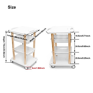 Beauty Salon Furniture Trolley Spa Styling Pedestal Rolling Cart 4 Shelf Abs Aluminum Elitzia ETTRO5