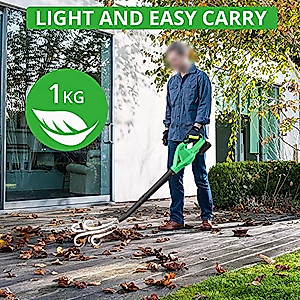 21V Cordless Leaf Blower, GARLLEN Electric Leaf Blower, Variable-Speed Lightweight Leaf Blower with 2.0Ah Battery, Fast Charger and 2 Section Tubes, for Patio, Yard, Leaf/Dust Blowing