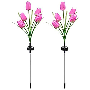 Thafikzi Solar Garden Lights, Outdoor Solar Powered Tulip Flower Lights with 5 Tulip Flowers, Variable Colors Waterproof Solar Decorative LED Lights for Garden, Patio, Backyard (2 Pack Pink)