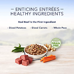 Blue Buffalo Delights Natural Adult Small Breed Wet Dog Food Cup, Filet Mignon Flavor in Hearty Gravy 3.5-oz (Pack of 12)