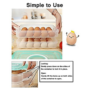 TIAN CHEN Deviled Egg Tray with Lid, 2-Layer, Food Storage Container with Handle, Egg Holder for Refrigerator, large, 40 eggs (Green)