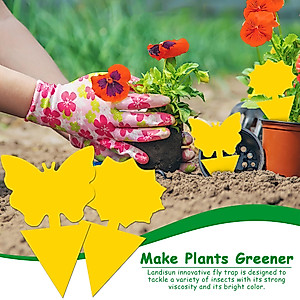 Fruit-Fly Sticky-Trap 52pc Mosquito-Repellent Insect Killer Outdoor Indoor Sticky Bug-Catcher for Wasp Mosquito Ant Gnat Fungus Gnat Roach Whitefly Aphid Leaf Miner