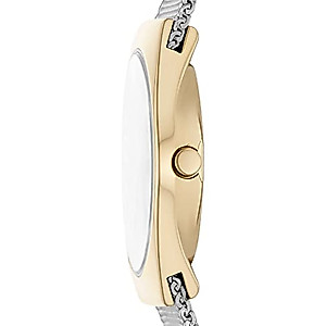 Skagen Women's Grenen Lille Three-Hand Stainless Steel Mesh Watch (Model: SKW3046)