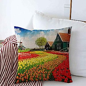 Pillow Case Blue Holland Rural Dutch Scenery Small Old Houses Parks Green Netherlands Village Amsterdam Mill Farmhouse Decorative Throw Pillowcase Cover 20"x20" Winter Decoration