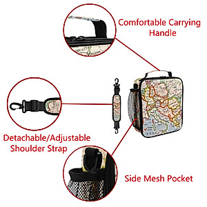 ZZXXB Spider Web Insulated Lunch Bag Box Reusable Thermal Cooler Bag Tote Outdoor Travel Picnic Bag With Shoulder Strap for Children Students Adults