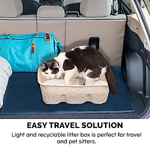 Kitty Sift 2-Pack Disposable Heavy Duty 6mm Thick Cat Litter Box - Sustainable, Clean, & Water Resistant - Jumbo, 2-Pack