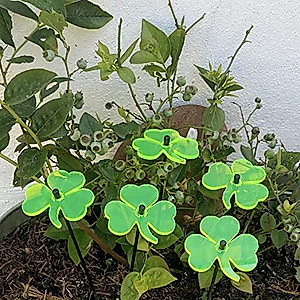 Lucky Shamrocks SunCatcher Garden Decor Ornaments Set of 5 Decorative Garden Stakes 25cm/10'' high Outdoor Yard Accessory Gardeners Gift, Colour:Fluorescent Green