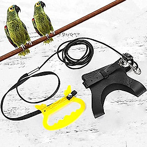 Pet Parrot Bird Harness and Leash, Adjustable Bird Harness Leash for Trainning, Black Fashion Vest, Suitable for Cockatiel,Parrot,Parakeets Conures, Macaws, Parrots, Love Birds，Finches (S)
