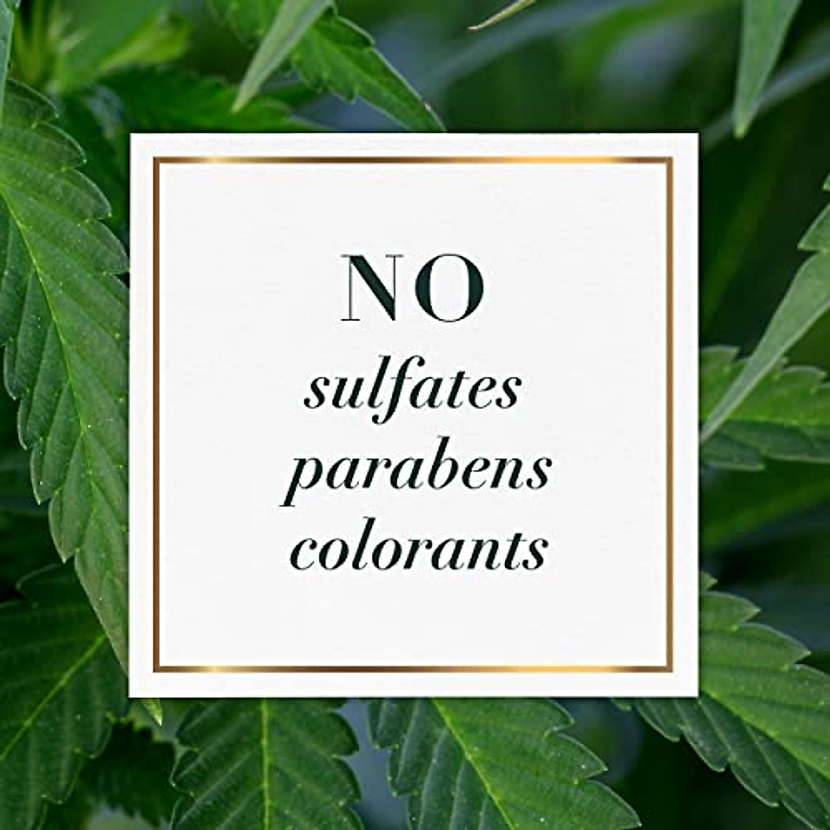 Herbal Essences bio:renew Sulfate Free Hemp + Potent Aloe Shampoo and Conditioner Set, 20.2 Fl Oz Each — Nourishes Dry Hair for Frizz Control, Paraben and Cruelty Free — Safe for Color Treated Hair