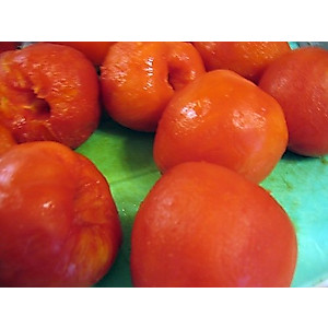 CULINARY ELEMENTS Paring Knife, 1 EA