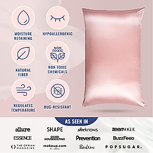 Blissy Silk Pillowcase - 100% Pure Mulberry Silk - 22 Momme 6A High-Grade Fibers - Silk Pillow Cover for Hair & Skin - Regular, Queen & King with Hidden Zipper (Standard, Pink)