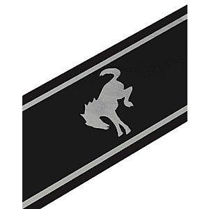 Blue Oval Industries OEM Black Chrome Front and Rear Door Sill Step Plates for 2021-2024 Bronco Sport