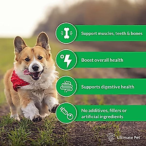 Ultimate Pet Nutrition Canine Boost, 33-in-1 Natural Grain Free Dog Food Booster Topper with Vitamins, Amino Acids, Probiotics, and Digestive Enzymes for Dog Health