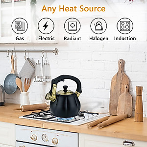 Stainless Steel Tea Kettle for Stove Top Teakettles Stovetop Whistling with Heat Proof Ergonomic Handle 2.5 Quart