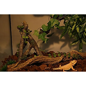 AQUA KT Reptile Corner Branch with Green Leaves Terrarium Desert Habitat Decoration for Lizard Snake Bearded Dragon Chameleon Hermit Crab Leopard Gecko Amphibian Climbing