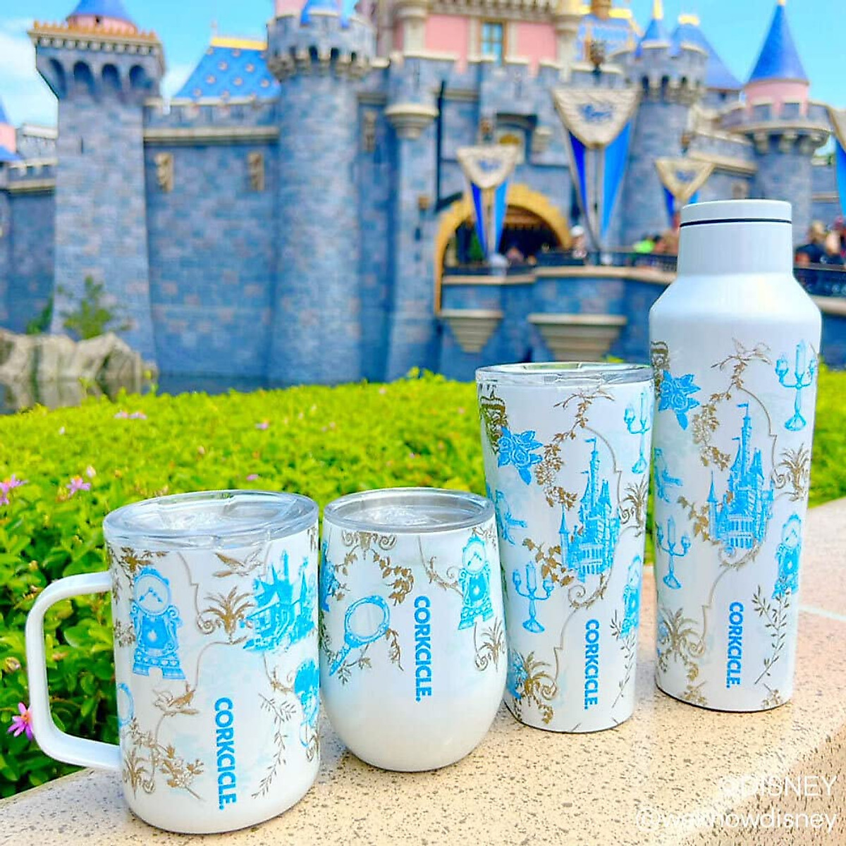 Corkcicle Disney Princess Belle Insulated Canteen Travel Water Bottle, Triple Insulated Stainless Steel, Keeps Beverages Cold for 25 Hours or Warm for 12 Hours, 20oz