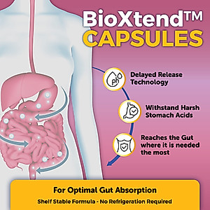 Viva Naturals Probiotics for Gut Health with Prebiotic Fiber, Cranberry & Vitamin C-50 Billion CFU Pre & Probiotics for Women Digestive Health, Vaginal Health from 18 Strains-Shelf-Stable 60 Capsules