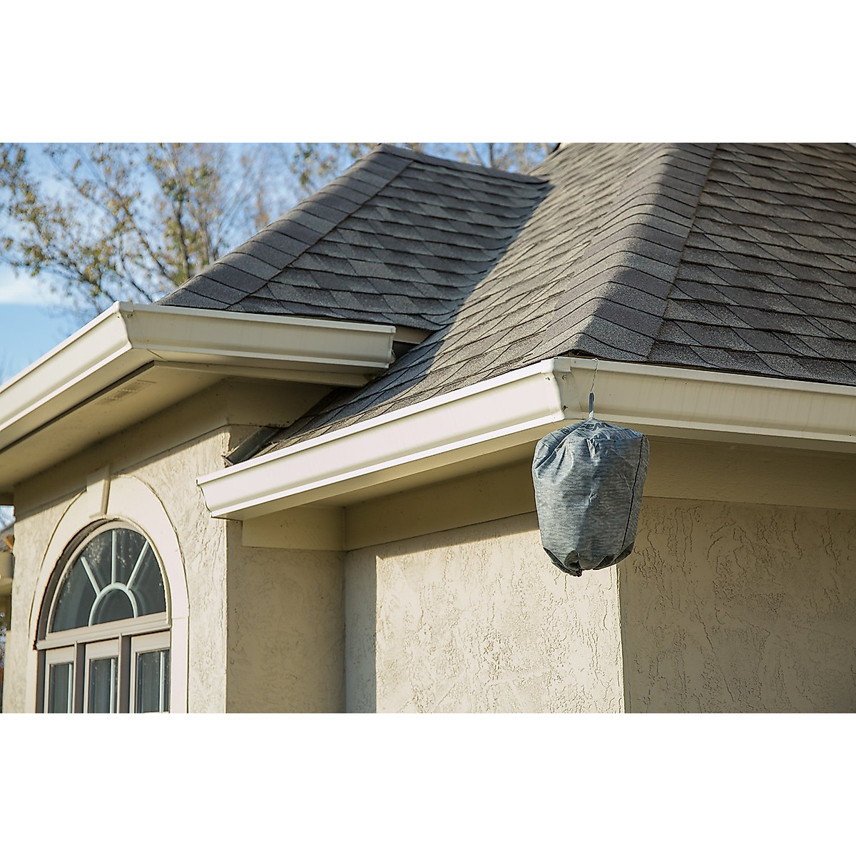 Tanglefoot 300000430 Waspinator