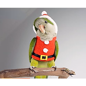 Bird Clothes Birds Flight Suit, Christmas Hoodie for Parrots Cockatiel Sun Conure Christmas Party Cosplay Photo Prop Bird Shirt Small Animals Apparel (Without Diaper,Green Quaker)