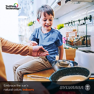 SYLVANIA LED TruWave Natural Series Ceiling Fan / Fixture Light Bulb, 60W A15 Daylight Medium Base, Dimmable, Soft White