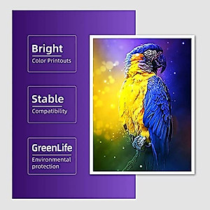 LC3019 3019 3017 Ink Cartridges Replacement for Brother LC3017XL LC3019XL Work for MFC-J5330DW MFC-J6930DW MFC-J6530DW MFC-J5335DW MFC-J6730DW Ink Cartridges (Black, , Cyan, Magenta, Yellow, 4 Pack)