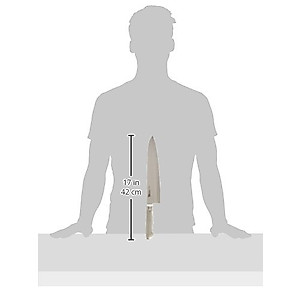 Kataoka Works Brieto-M11pro Molybdenum Vanadium Steel Knife Gyuto 270mm Thick M1103H