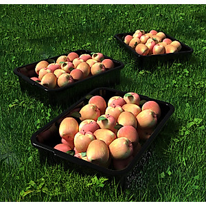 5-Pack Commercial Bus Tubs Box/Tote Box, Black Plastic Storage with Handles, Wash Basin Tub 8 Liter