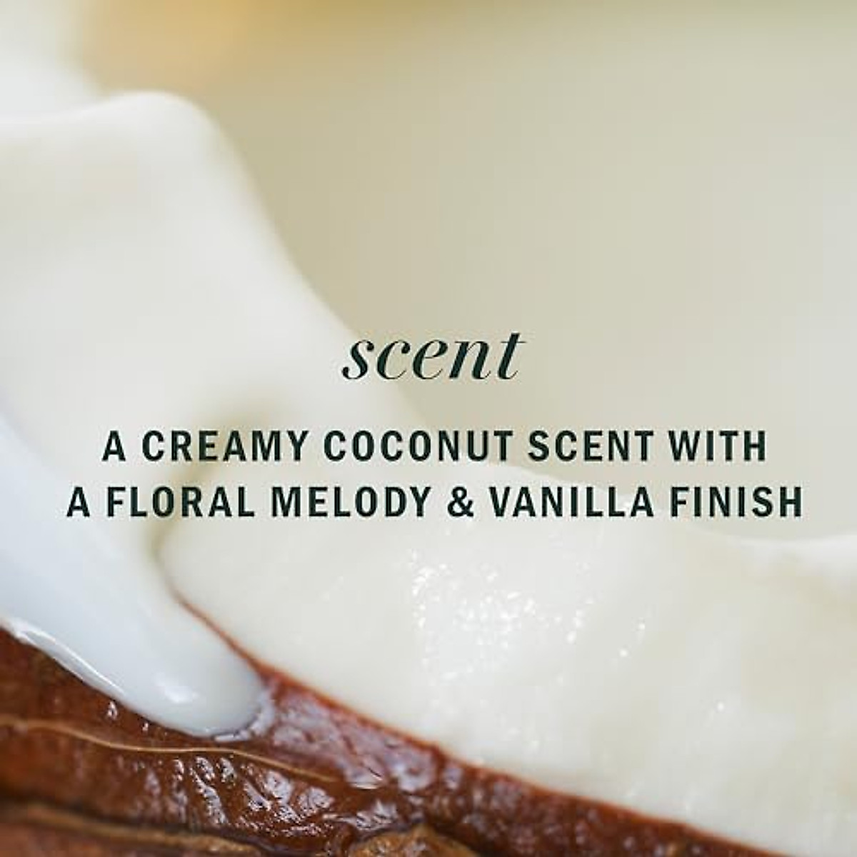 Herbal Essences Bio: Renew Coconut Milk Shampoo, 4 Count