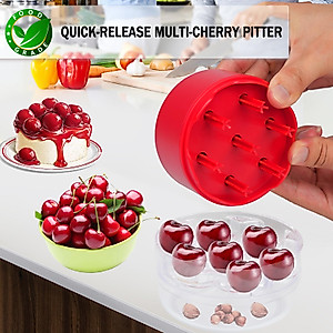 Cherry Pitter, 7-in-1 Cherry Pitter Tool Pit Remover, Heavy-Duty Metal Cherry Seed Remover, 7 Holes Cherry Stoner Pitter Quick Release, Multiple Cherry Pit Remover for Kids/Cherries Jam