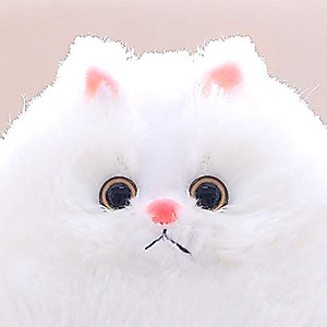 Winsterch Stuffed Animal Plushie Cat Stuffed Animal,Cute Soft Plush Cat Animals,White Stuffed Cat,Birthday Christmas Valentines Gifts for Kids,Boys,Girls,Fat Cat Plush Stuffed Toy (White, 10 Inches)