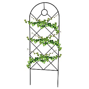 Garden Trellis for Climbing Plants Metal Vine Plant Support Trellis Climbing Rose Trellis Rustproof Plant Support for Potted Plants Flowers Vegetable