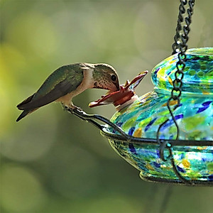 Nature's Way Bird Products WWGHF7 Hand Blown Spring Rain Illuminated Hummingbird Dish Feeder