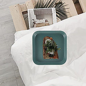 Abaodam 2pcs Melamine Resin Material Square Bone Spit Plates Fruit Trays Snack Plates