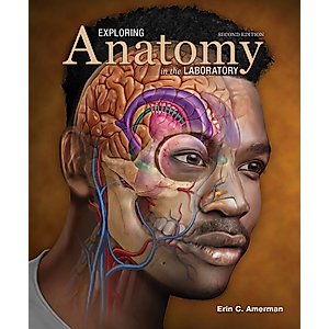Exploring Anatomy in the Laboratory