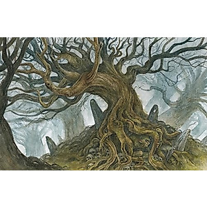 Faeries of the Faultlines: Expanded, Edited Edition