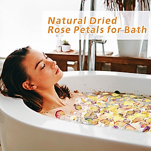 20+ Cups Real Rose Petals Biodegradable Wedding Flower Confetti, 2 QT Mixed Yellow Purple Pink Dried Roses Petals for Wedding Proposal Bath Valentine's Day Party Flower Girl