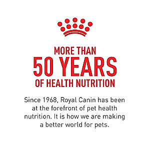 Royal Canin Small Digestive Care Dry Dog Food, 17 lb bag