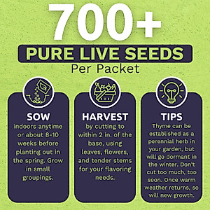 Organic English Thyme Seeds – Seed Packet of Over 8000 Open Pollinated Non-GMO Seeds – Sweet Yards Seed Co.