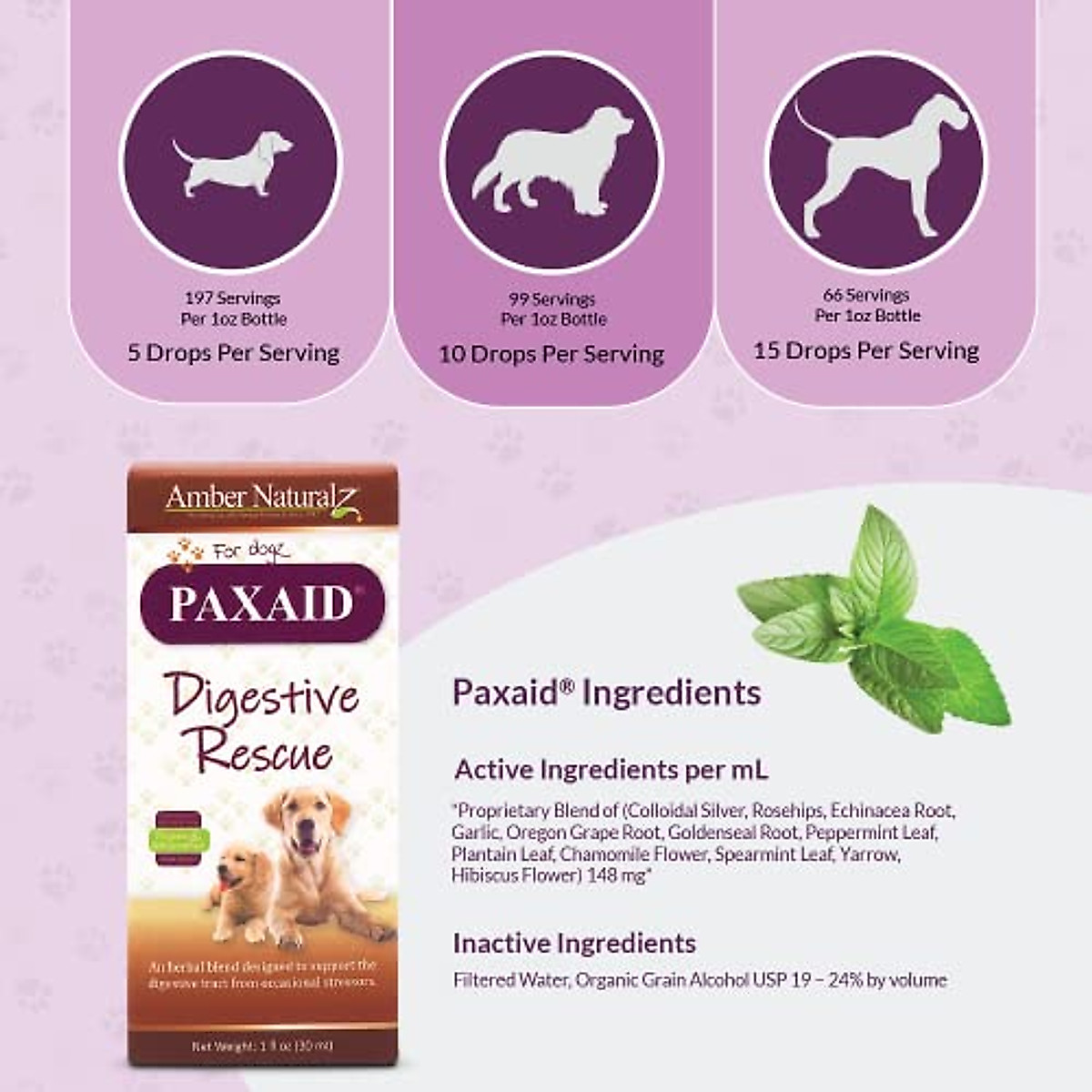 Amber NaturalZ - Paxaid Digestive Rescue - Appetite, Gut, Digestive Health, and Vitality Support for Puppies and Dogs. Helps Support Digestive enzymes and Occasional gastric upsets - 1 Oz Bottle