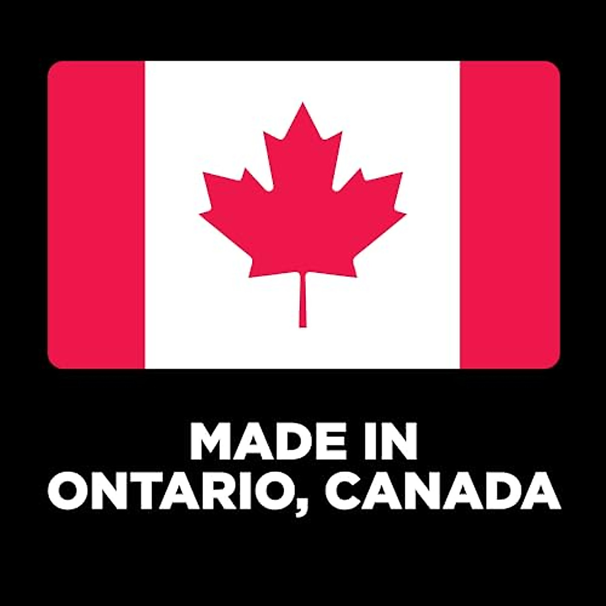 Go! Solutions Carnivore Grain Free Dog Food, 3.5 lb – Salmon + Cod Recipe – Protein Rich Dry Dog Food – Complete + Balanced Nutrition for All Life Stages