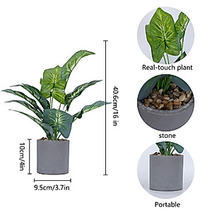 GTIDEA 16 Inch Fake Potted Plants Decor Small Artificial Greenery in Pot Faux Outdoor Plant for Home Indoor Office Table Bathroom Garden Decor