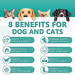 Max Potency Hemp Oil for Dogs & Cats - Help Anxiety Stress Pain Inflammation Arthritis Aggressive Relax Sleep Allergies Seizures Relief - Treats Chews Joint & Hip - Organic Pet Calming Drops - Non-GMO