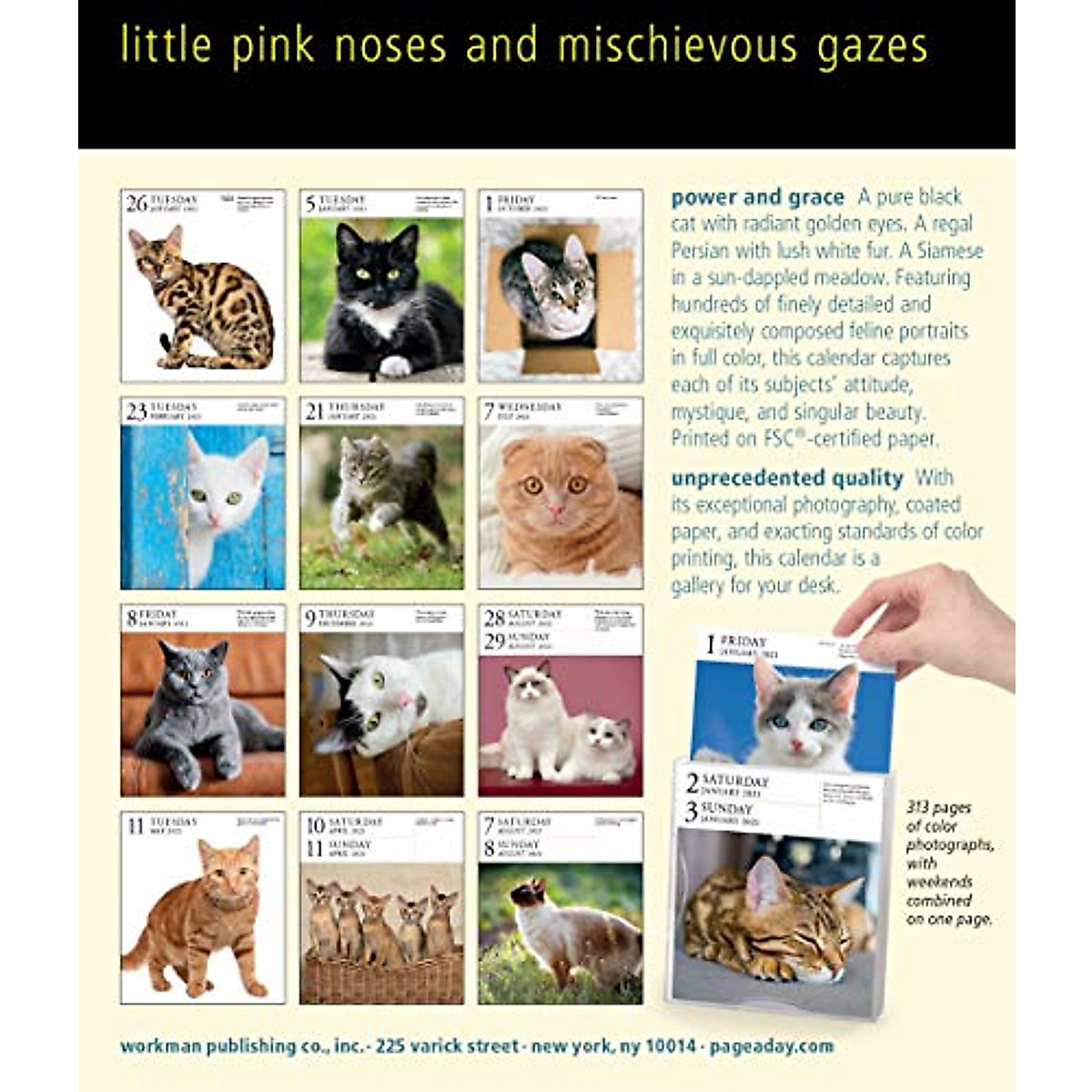 Cat Page-A-Day Gallery Calendar 2021