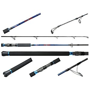 Jigging world Black Widow 300S Spinning 2-Piece Popping Rod