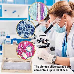 Biology Glass Prepared Microscope Slides Specimens Wooden Slide Storage Box Case